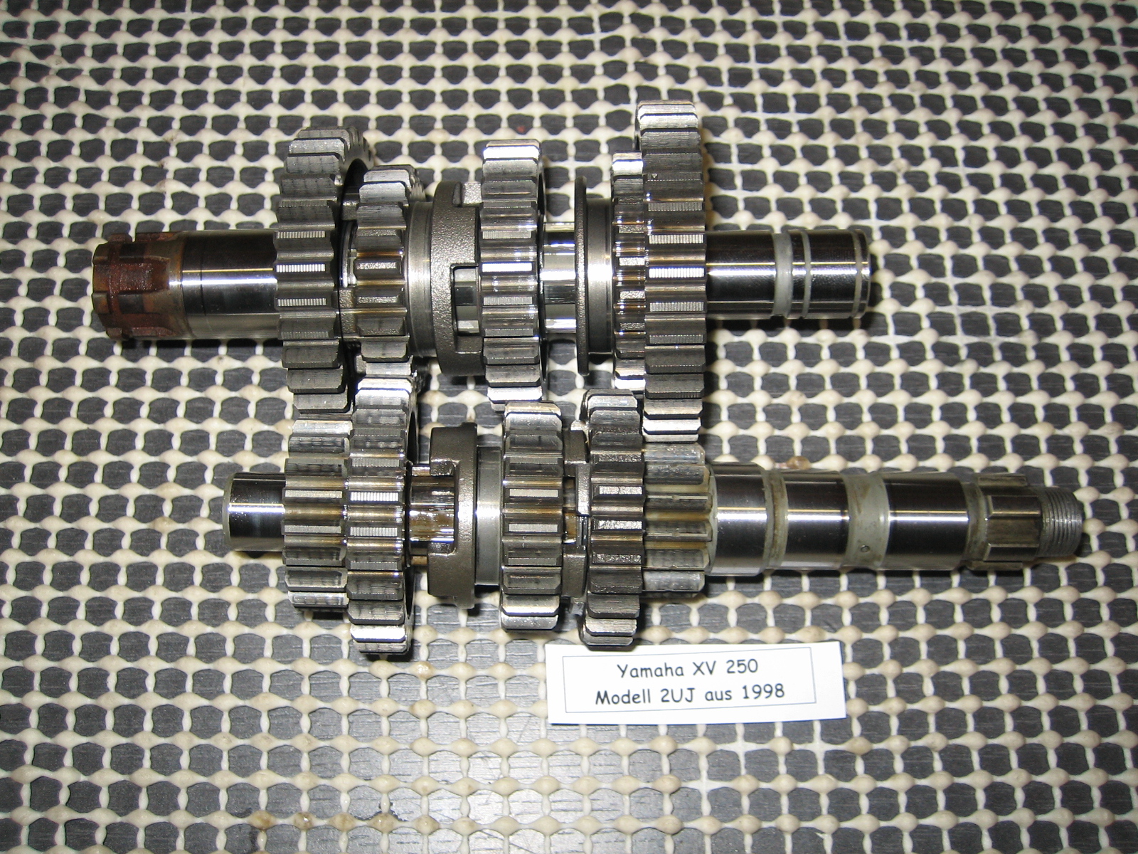 Yamaha XV 250 2UJ Motor Getriebe | MotorradTeile Berndorf